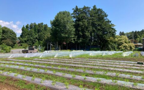 とのわファーム